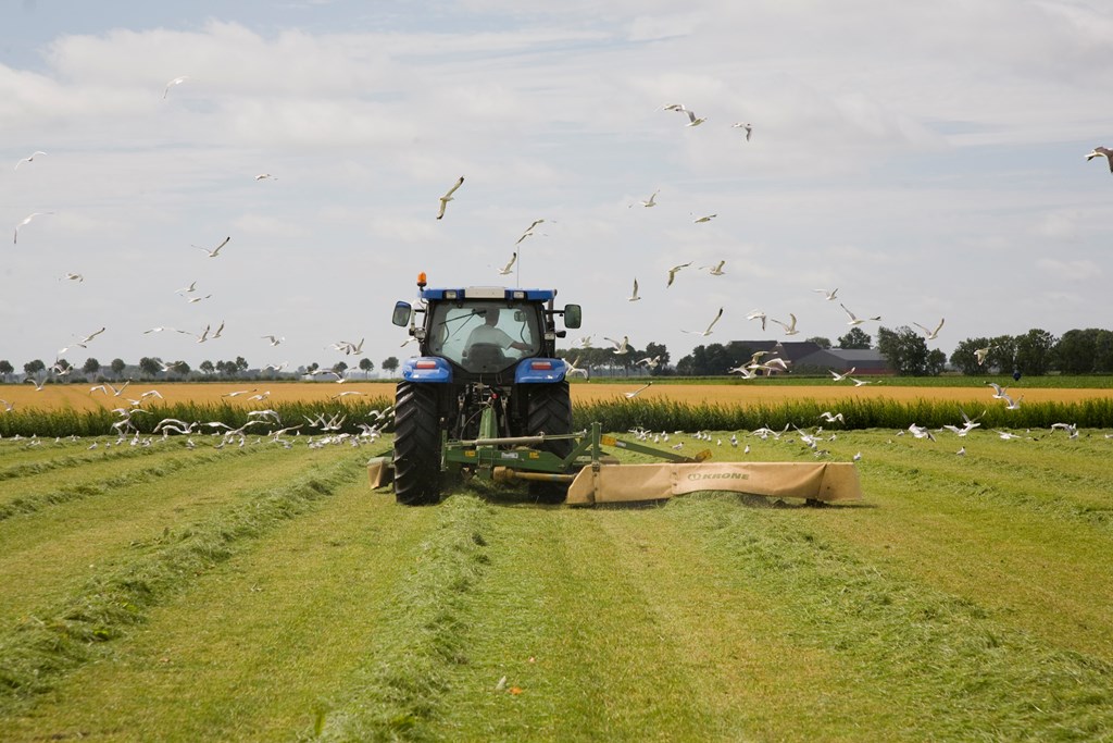 Agrarisch | Havinga Makelaardij